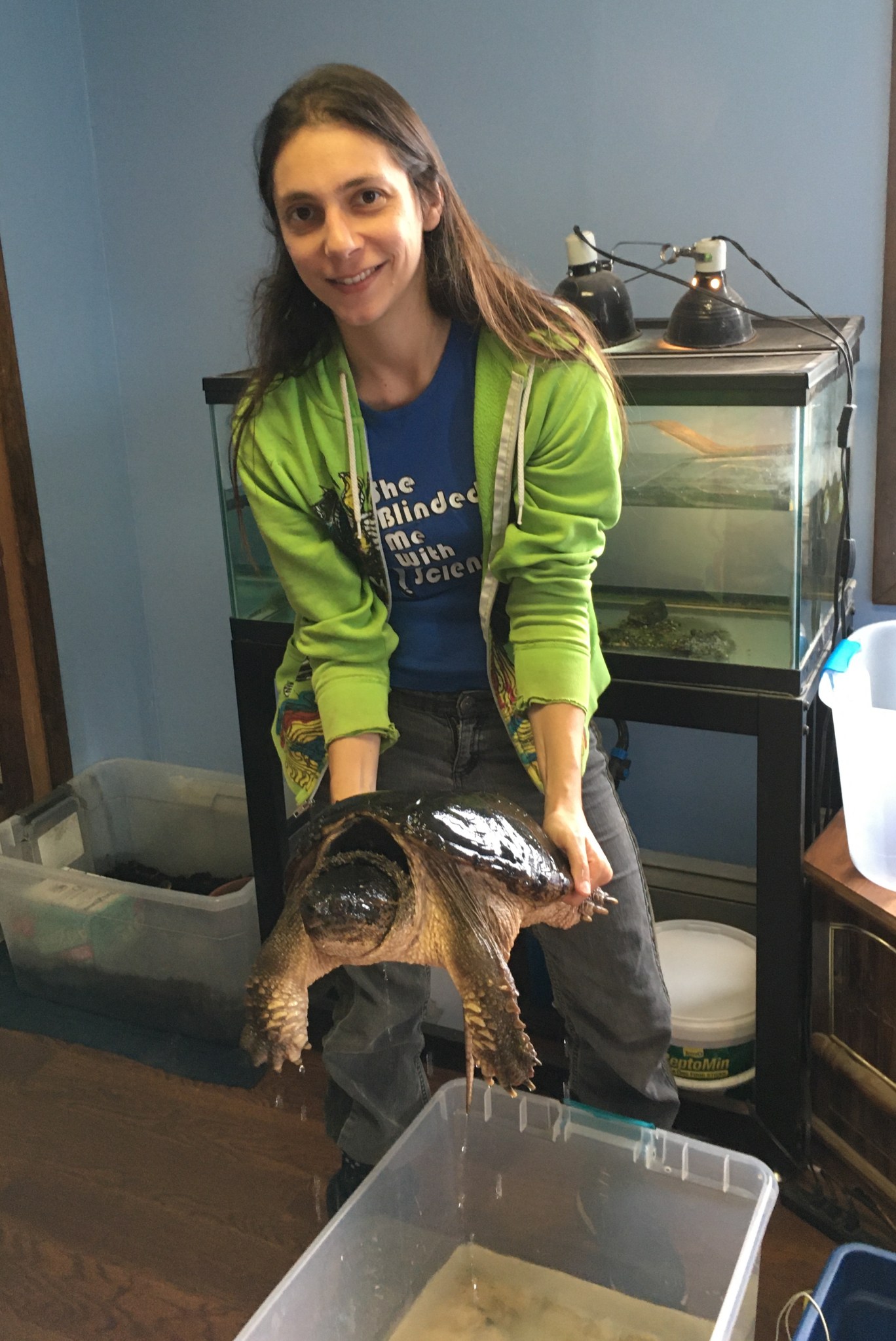 Turtle Haven – Turtle Rehabilitation in Connecticut